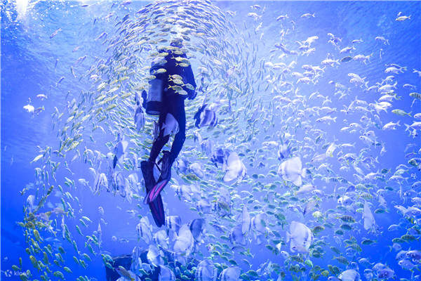 Sunac Sea World Chongqing Ticket - Klook Australia