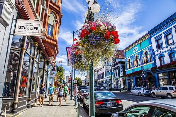 Explore Victoria on a Private Tour - See the Best Sights in 1 Day ...