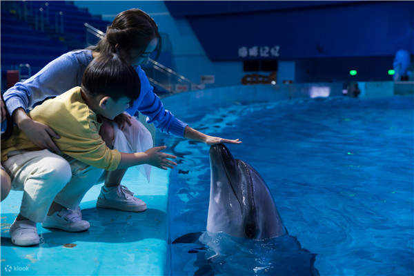 Sunac Sea World Chongqing Ticket - Klook India