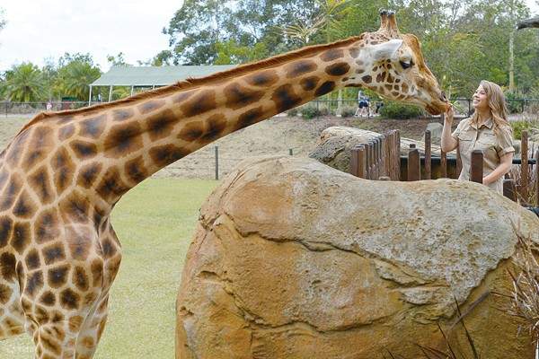 Croc Express to Australia Zoo Ticket - Klook