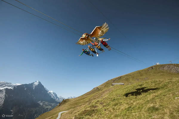 Private Guided Adventure to Grindelwald First from Zurich - Klook
