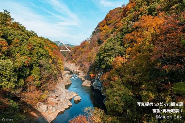Watarase Gorge Railway & Takatsuto Gorge & Ashikaga Flower Park Light ...