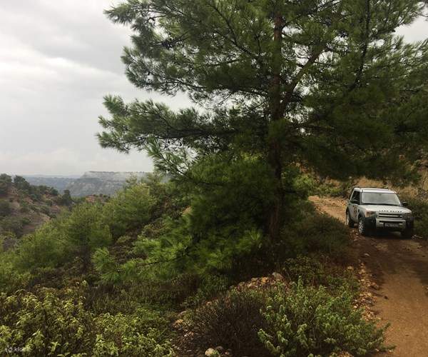 探索羅德北線的更多內容 發現隱藏的瑰寶 羅德島旅行指南 Klook 客路
