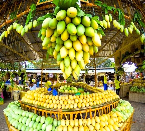 Guimaras Island and Iloilo City Tour with Mango Pizza & Pancit Molo ...