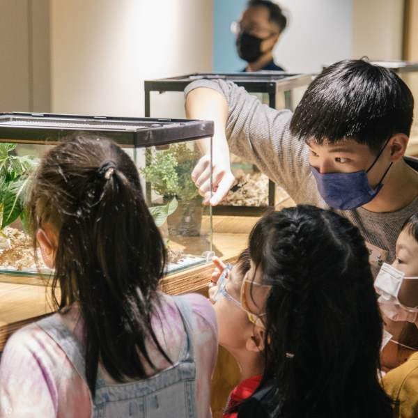 Taipei: Visit and Explore the Bugs Bass Insectarium - Klook