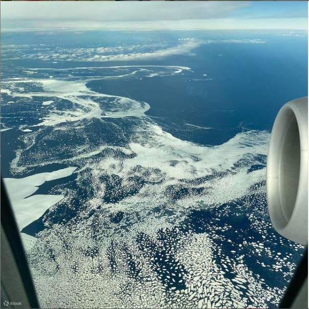 Scenic New Year's Eve Flight Over Antarctica from Melbourne - Klook ...