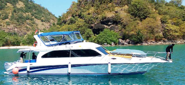 Komodo Full Day Luxurious Speedboat Tour from Labuan Bajo - Klook