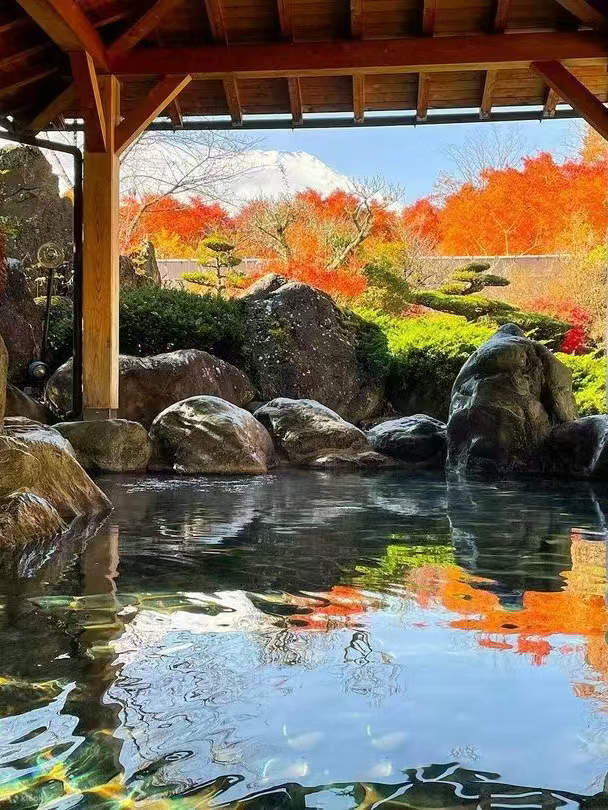 [Mt. Fuji Swan Boat or Hot Spring Tour] Mt. Fuji 5th Station & Oshino ...