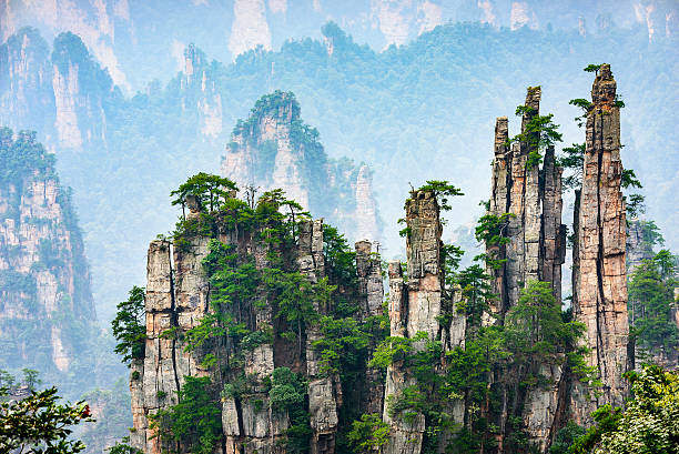 Zhangjiajie National Forest Park VIP Private Day Tour (VIP No-Wait ...