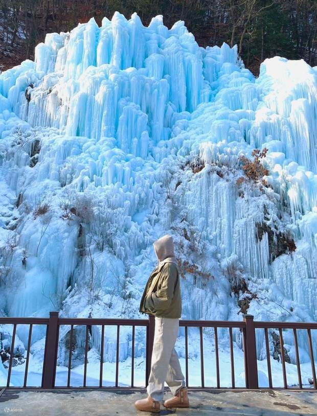 Eobi Ice Valley & Alpaca & Strawberry & Nami & Lighting Festival ...