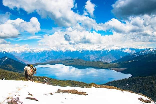 Explore the Hidden Gem: Rara Lake Trek in the Himalayas - Klook ...