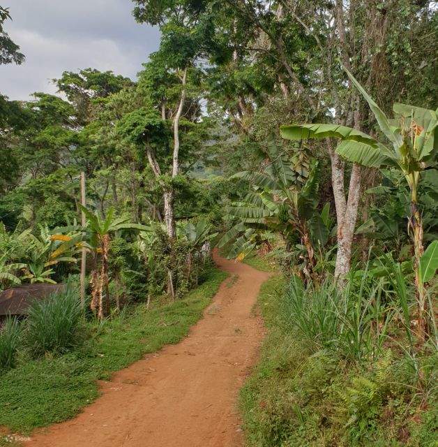 Experience a Guided Mountain Bike Tour through Arusha Village - Klook ...