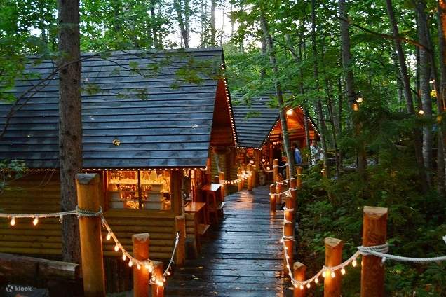 Furano and Biei One Day Bus Tour with All-you-can-eat Melon - Klook ...