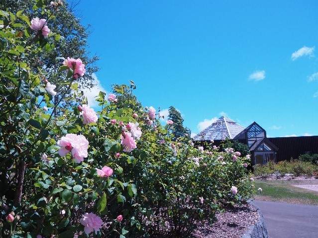 Private tour from Sapporo (Hokkaido) - Klook