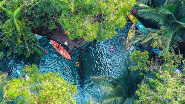 Klong Nam Sai Kayak + Fish Feeding + Elephant Watching + ATV - Klook