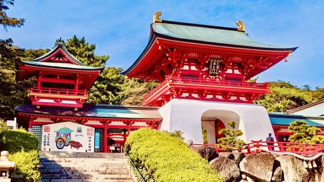 1 Day Akama Shrine & Motonosumi Shrine Autumn Cosmos Tour - Klook The ...