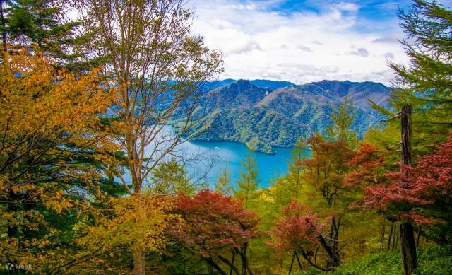 Tokyo Nikko Day Trip: Nikko Toshogu Shrine + Kegon Falls, Onsen Hot ...