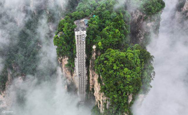 Zhangjiajie 3-Day Private Tour National Forest Park Avatar Mountain ...