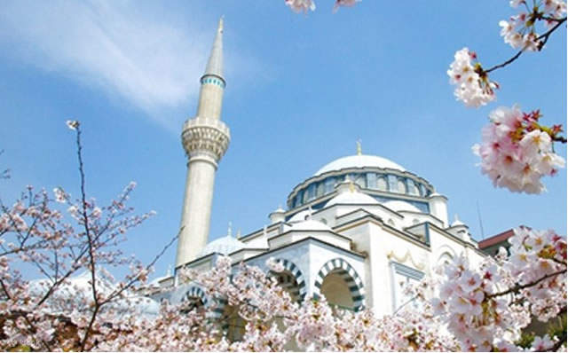 Tokyo’s unique Islamic and Halal experience one-day tour (including ...