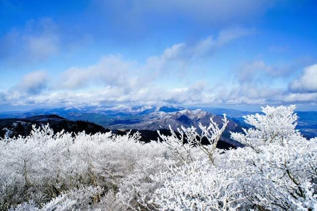 1-Day Nabana no Sato Illumination Tour with Shopping at Outlet Park - Klook Malaysia