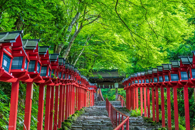 Kifune Shrine, Kyoto Imperial Palace, and Kyoto State Guest House Bus ...
