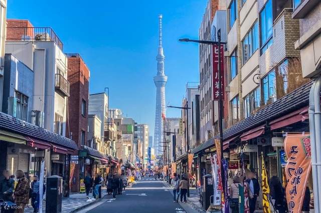 Tokyo City, Asakusa Cultural and Culinary Tour One Day Walking Tour ...