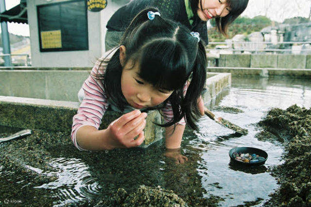 Stone Museum Hakusekikan - Klook Estados Unidos