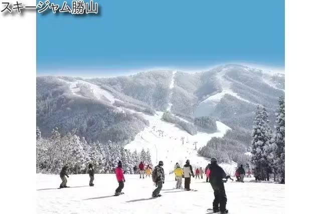 Japan Snow Resort Alliance 24 ski resort common admission ticket - Klook