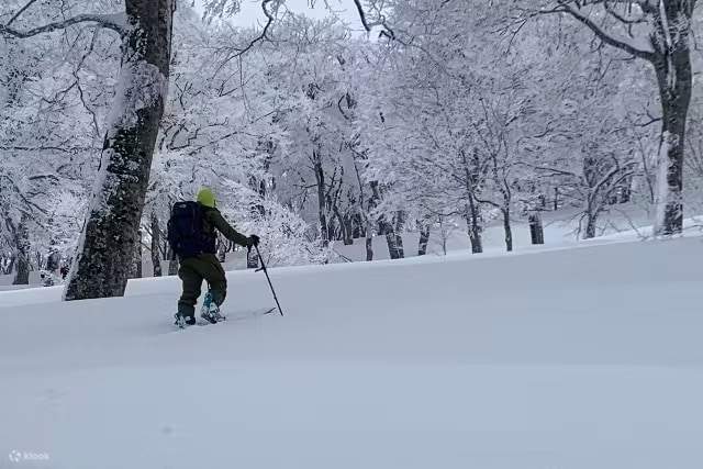 Nozawa Onsen Snowshoe Walk Tour - Klook