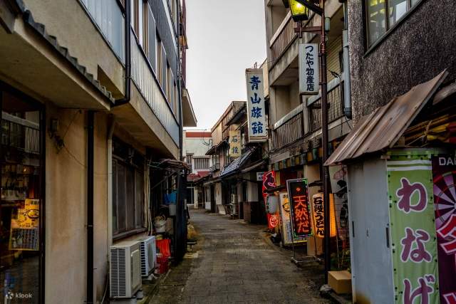 Gunma Sightseeing and Gourmet Trip from Tokyo, Japan - Klook