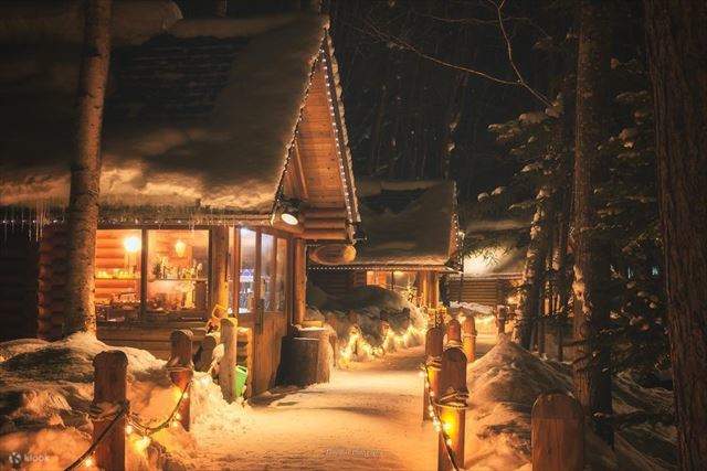 Illumination Tour: Furano Elf Terrace, Biei Blue Pond & Shirahige Falls ...