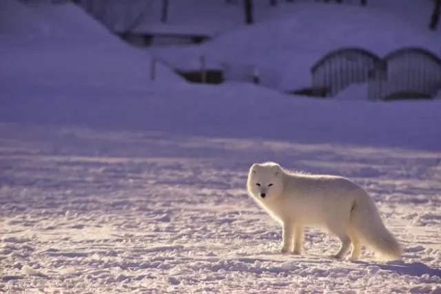 Huaxia Culture and Tourism Ocean Park - Klook Australia