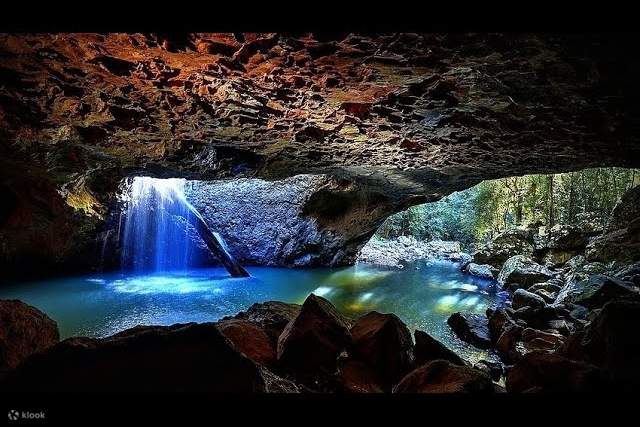 Springbrook National Park and Wildlife Day Tour with Chinese Guide ...