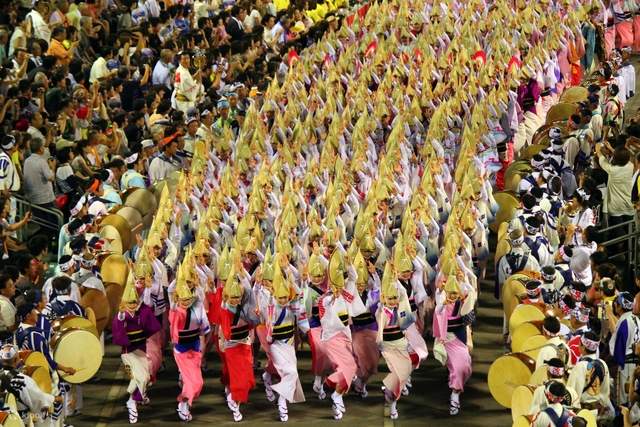 Tour di un giorno in autobus da Osaka per l'Awa Dance Festival e i ...