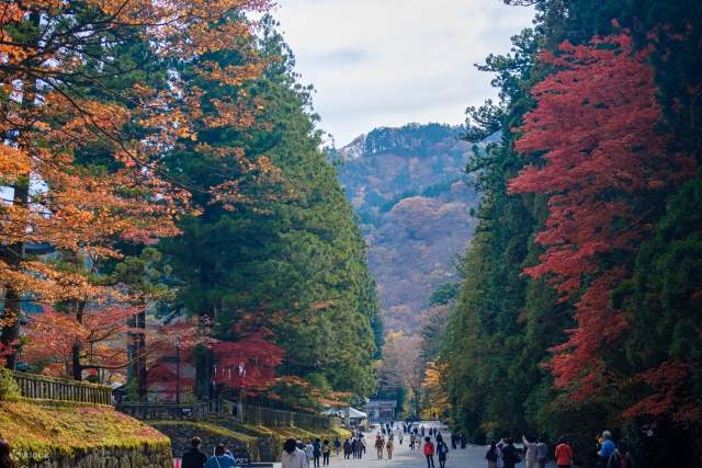 Tour ngắm lá mùa thu 1 ngày từ Tokyo Nikko Toshogu & Hồ Chuzenji - Klook Việt Nam