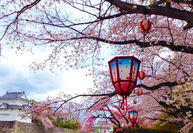 Nagoya and Tokugawaen and Nagoya Castle Join In Day Walking Tour with ...