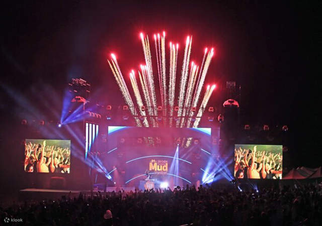 2025 Boryeong Mud Festival + K-Pop Concert One Day Tour from Seoul ...