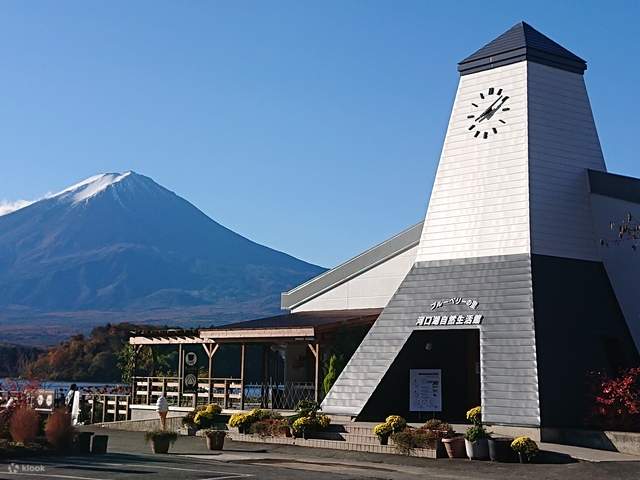 Mount Fuji Family-friendly One-Day Tour: Oishi Park, Lawson Convenience ...