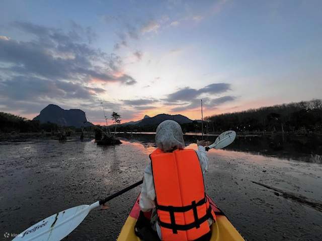 Klong Nam Sai Kayak + Fish Feeding + Elephant Watching + ATV - Klook