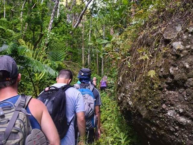 Koroyanitu National Heritage Park Fiji Tour - Klook