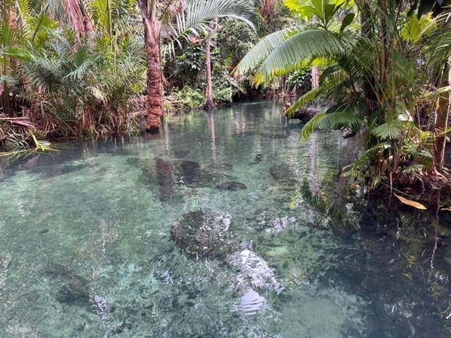 Klong Nam Sai Kayak + Fish Feeding + Elephant Watching + ATV - Klook