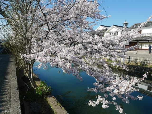 Okayama Korakuen, Okayama Castle, and Kurashiki Bikan Historical ...
