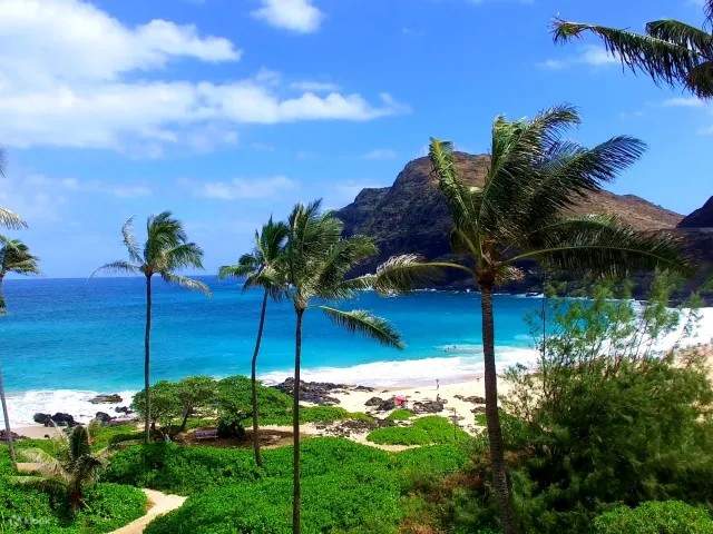 Circle Island Highlights Private Tour in Oahu - Klook Hong Kong
