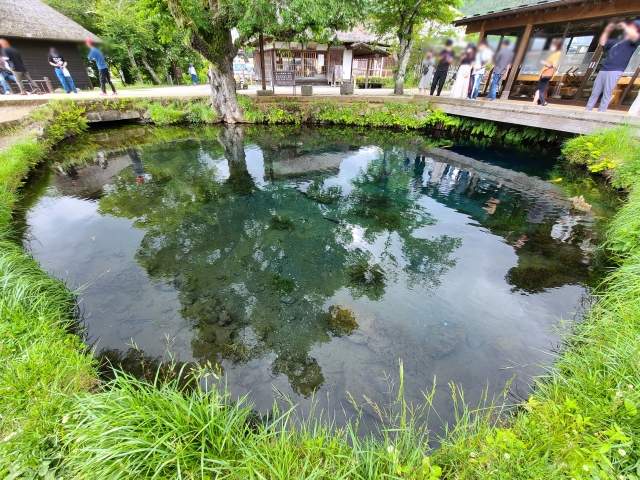 Mount Fuji 5th Station & Five-Story Pagoda & Honmachi Shopping Street ...