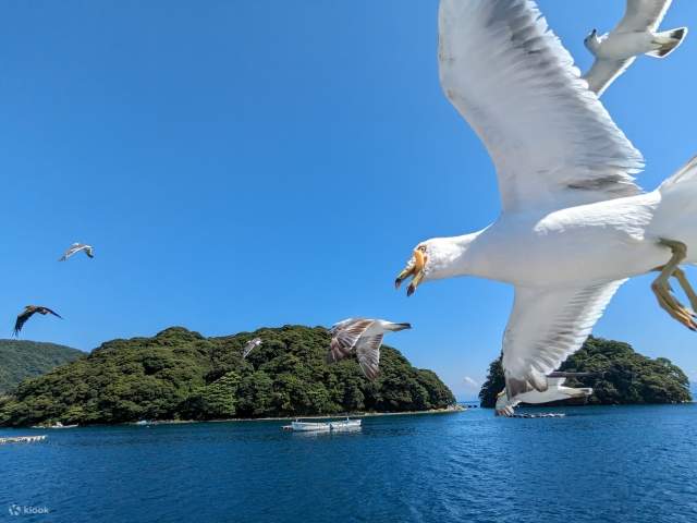 Amanohashidate & Ine no Funaya Boat Houses & Kyoto Miyama Thatched ...