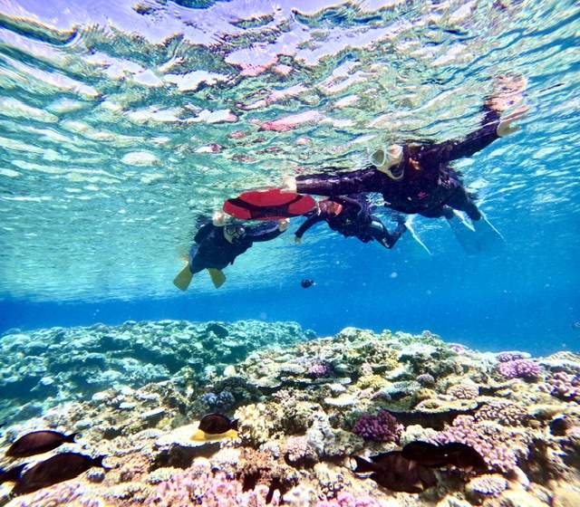 沖繩天然海灘立槳衝浪、皮划艇和青之洞窟浮潛體驗（免費照片） Klook香港