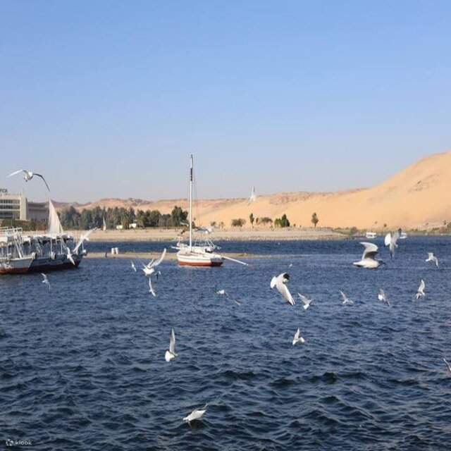 Aswan City Tour - Klook India