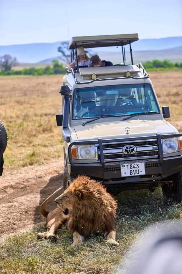 4 Days in Masai Mara – The Best African Safari Experience - Klook India