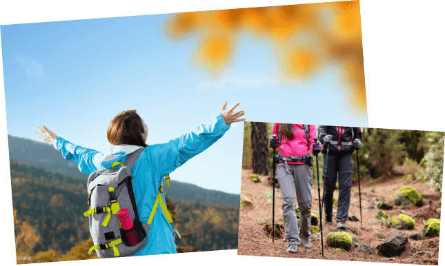 1-Day Mt. Fuji 1st - 5th Station Hiking Tour with Professional guide ...