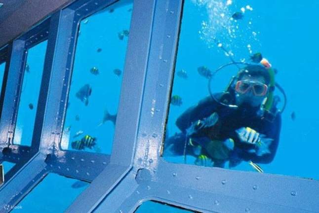 Panoramic Glass Bottom Boat Experience in Sharm El Sheikh - Klook ...